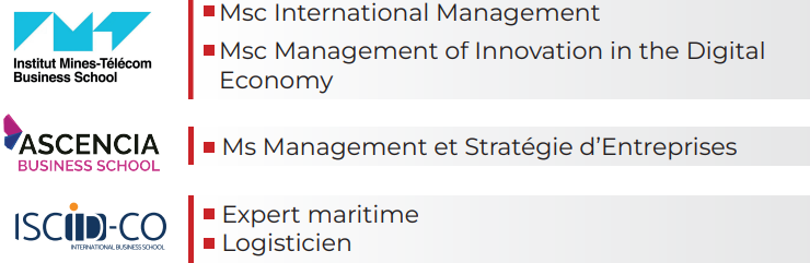 Esprit | Master Management Digital systèmes d'information | Tunisie