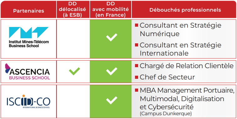 Esprit | Master Management Digital systèmes d'information | Tunisie